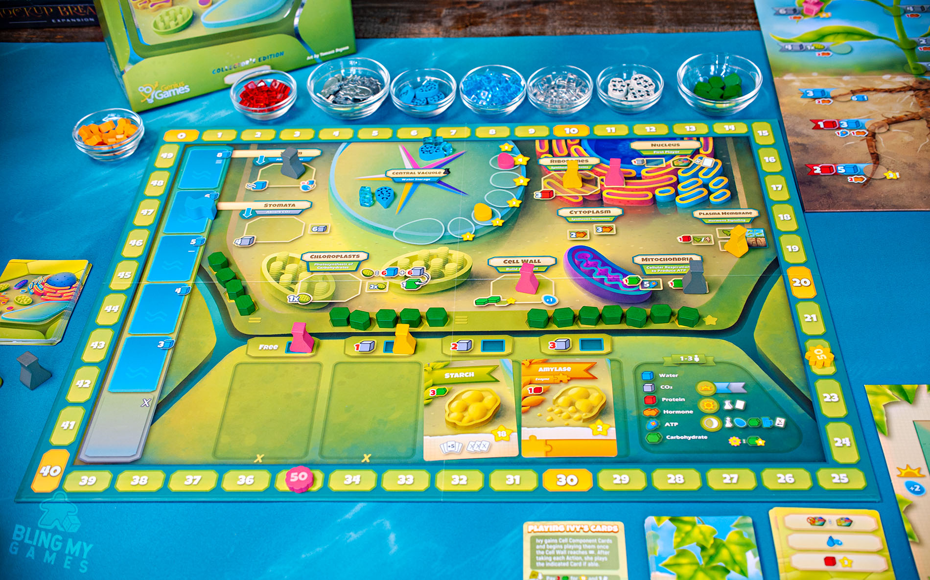 Cellulose Game: Plant Cell Biology | Bling My Games