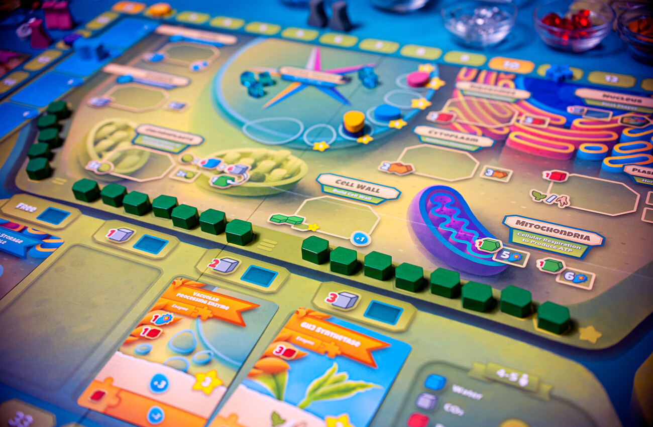 Cellulose Game: Plant Cell Biology | Bling My Games