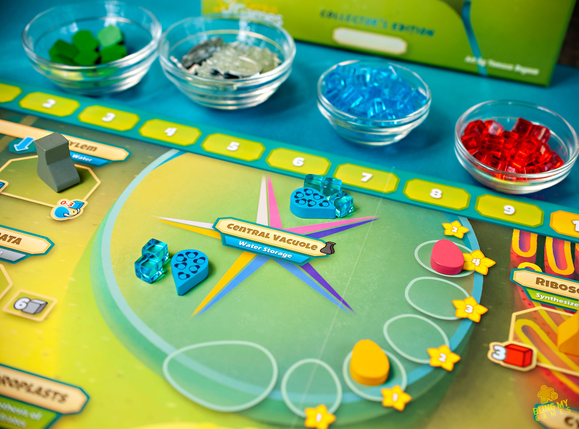 Cellulose Game: Plant Cell Biology | Bling My Games