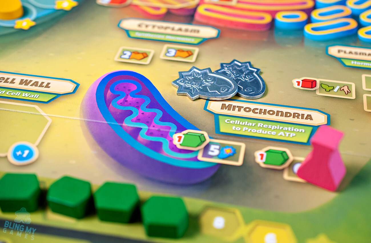 Cellulose Game: Plant Cell Biology | Bling My Games